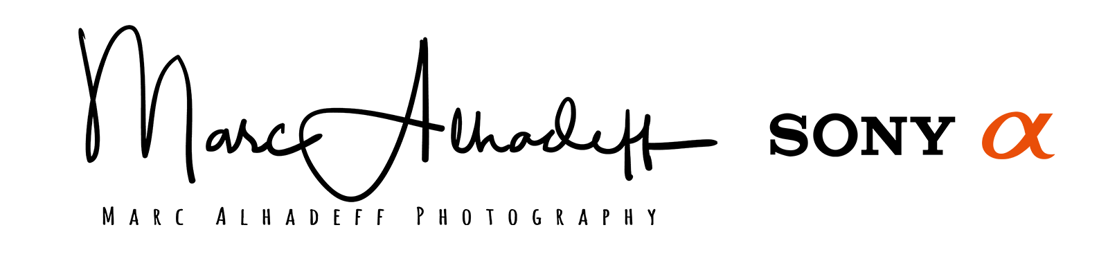 Sony Alpha Blog : logo-wordpress