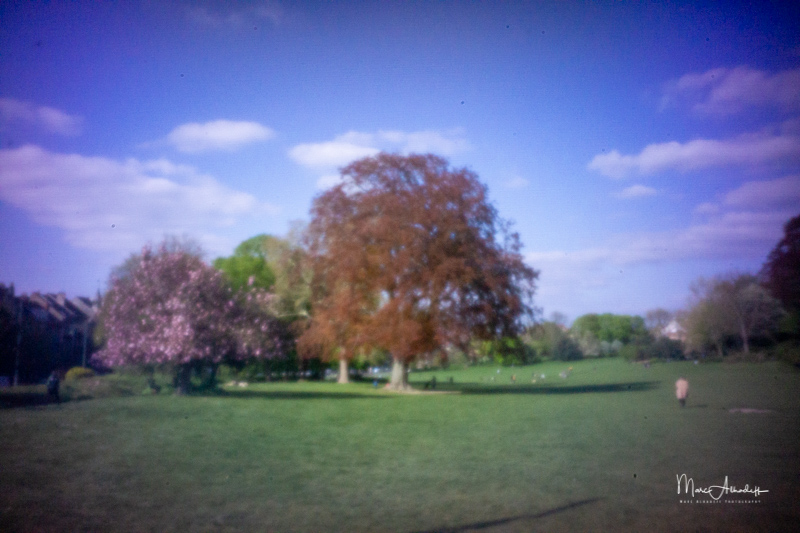 Sony Alpha Blog : Pinhole Pro X- ISO 2500-1-60 s 019