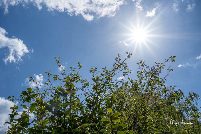 Sony Alpha Blog : FE 40mm F2.5 G at 40 mm – 1-125 s à f – 22 à ISO 100-070