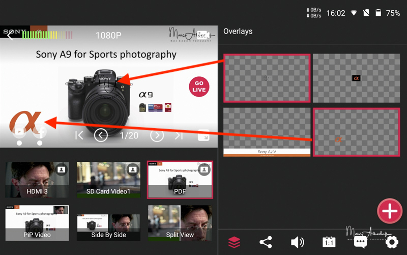 Sony Alpha Blog : Yolo overlays-20 copie