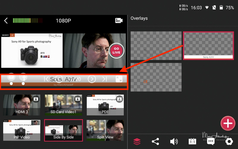 Sony Alpha Blog : Yolo overlays-22 copie