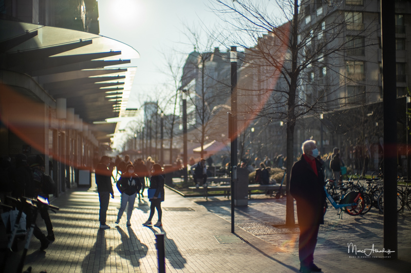 Sony Alpha Blog : Brightin Star 50mm F0.95, F0.95- ISO 100-1-20000 s 094