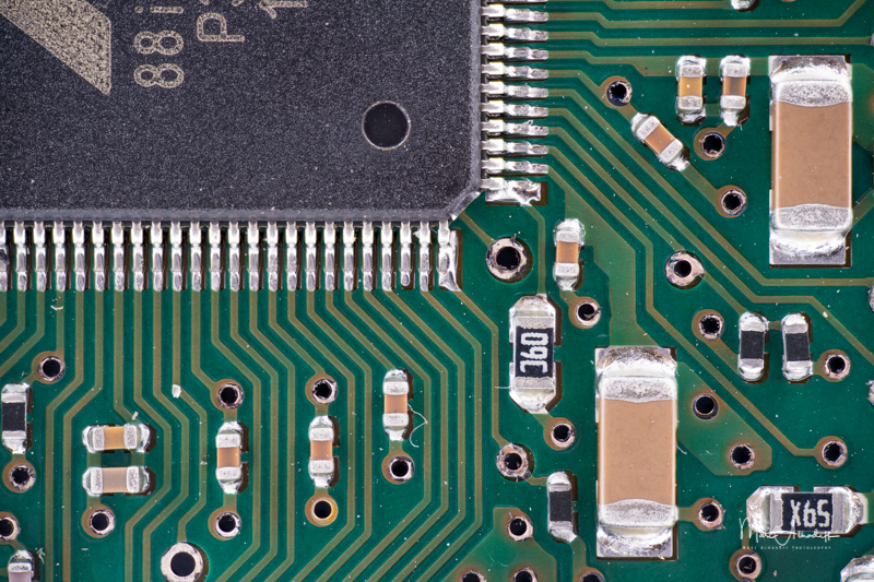 Sony Alpha Blog : chip 2-1 30 photos