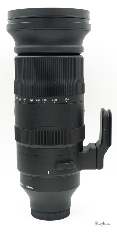 Sony Alpha Blog : Sigma 60-600mm F4.5-6.3 DG DN-012