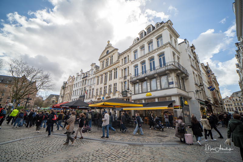 Sony Alpha Blog : 7 Artisans 15mm F4, F5.6- ISO 100-1-400 s 036