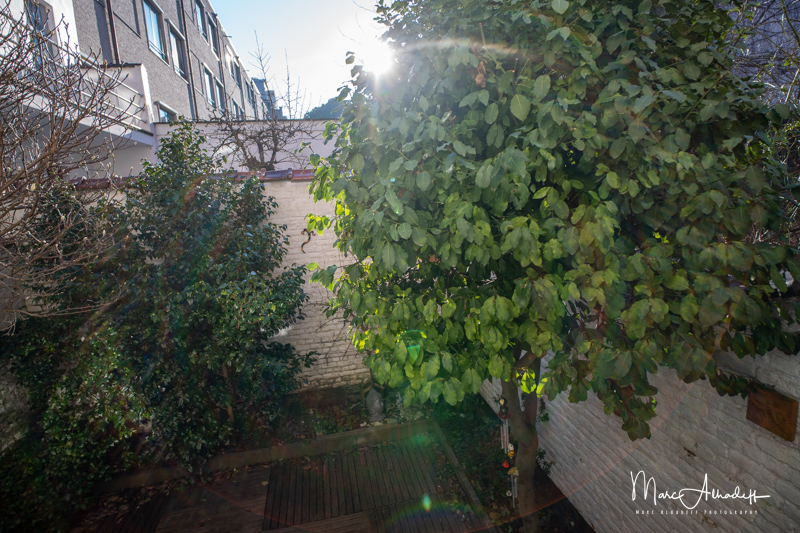 Sony Alpha Blog : F2, TTArtisan 10mm F2- ISO 100-1-800 s 032