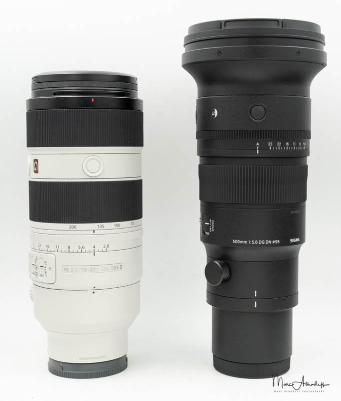 Sony Alpha Blog : Sigma 500mm f5.6-13