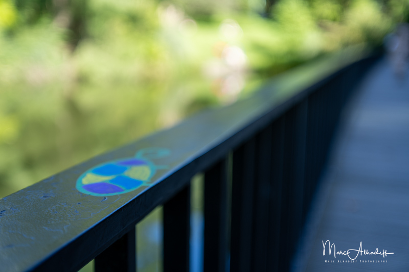 Sony Alpha Blog : Viltrox 40mm F2.5 FE at 40 mm – 1-400 s à f – 2,5 à ...