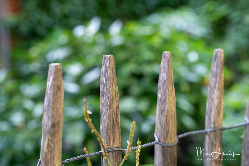 Sony Alpha Blog : FE 85mm F1.4 GM II at 85 mm – 1-250 s à f – 4,0 à ISO ...