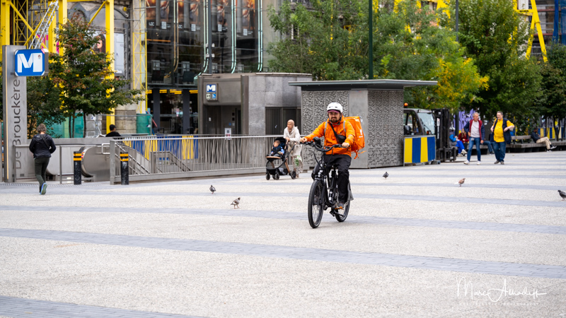 Sony Alpha Blog : Tamron 90mm f2.8 Macro – Burst-015