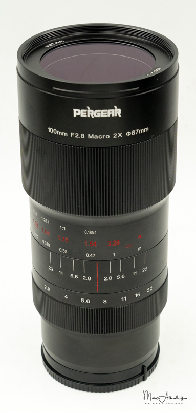 Sony Alpha Blog : 7CA03069