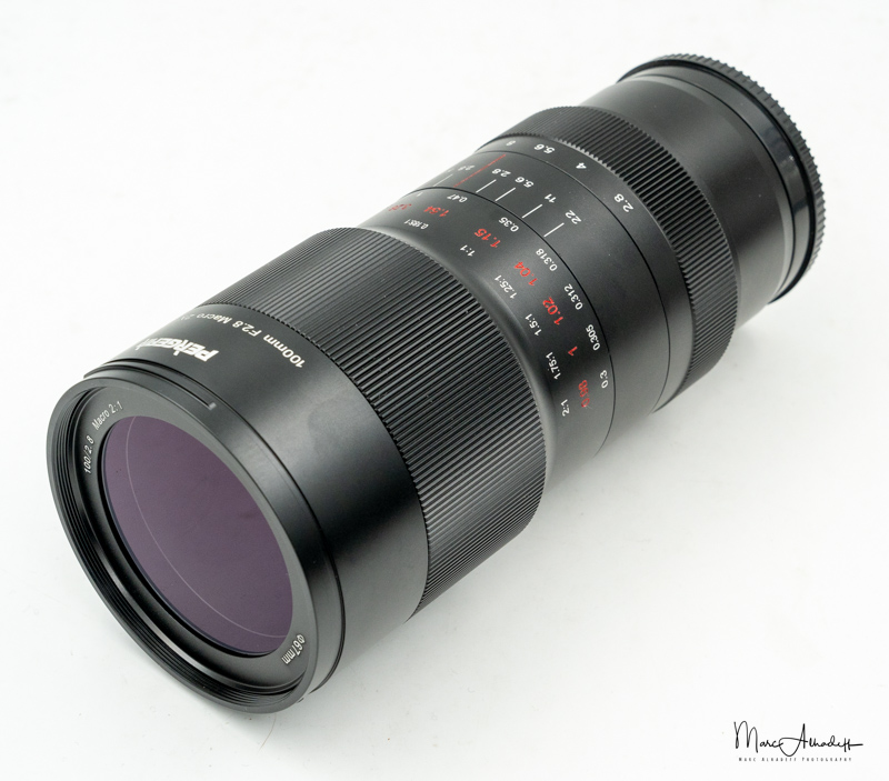 Sony Alpha Blog : 7CA03071