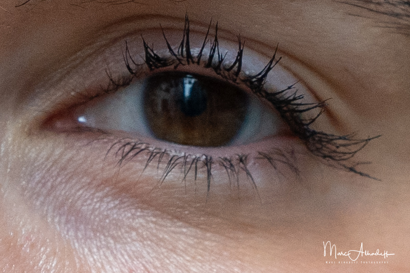Sony Alpha Blog : FE 28-70mm F2 GM at 70 mm – 1-250 s à f – 2,8 à ISO ...
