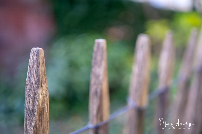 Sony Alpha Blog : SAMYANG AF 35mm F1.4 P FE at 35 mm – 1-250 s à f – 1 ...