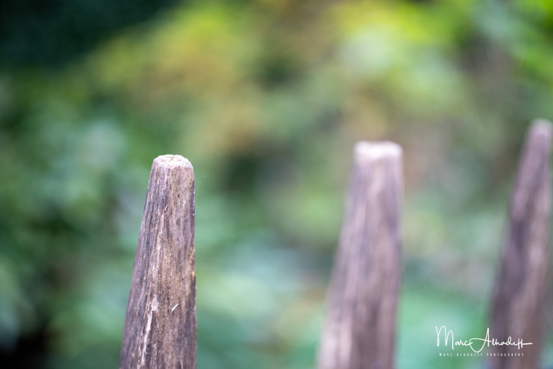Sony Alpha Blog : Viltrox 35mm F1.7 E at 35 mm – 1-125 s à f – 1,7 à ...