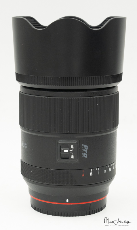 Sony Alpha Blog : 7CA03102