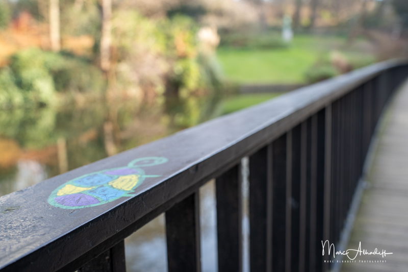 Sony Alpha Blog : Viltrox 25mm F1.7 E at 25 mm – 1-125 s à f – 4,0 à ...