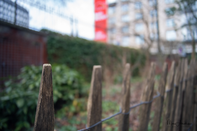 Sony Alpha Blog : F2, Pergear 12mm F2 II- ISO 100-1-250 s 024