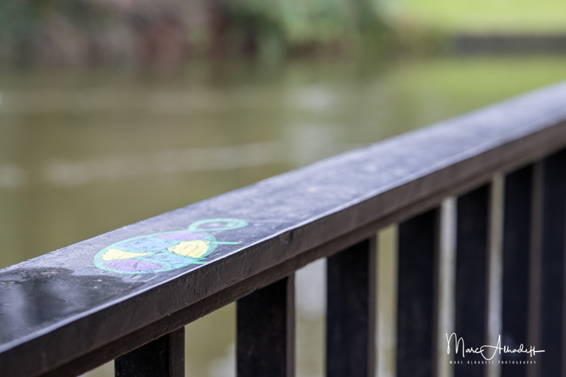 Sony Alpha Blog : Viltrox 85mm F1.4 FE at 85 mm – 1-250 s à f – 5,6 à ...