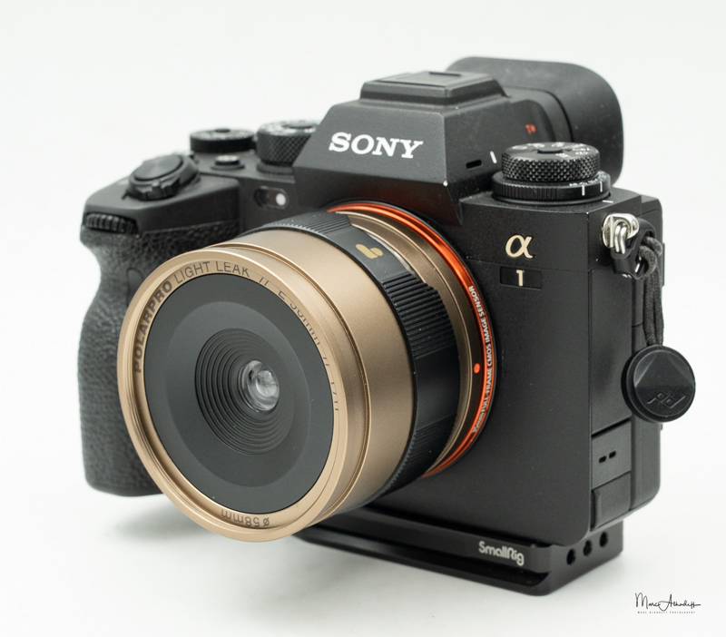 Sony Alpha Blog : 7CA05196