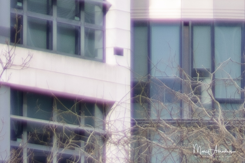 Sony Alpha Blog : Brightin Star 50mm F0.95 APSC, F0.95- ISO 100-1-4000 ...