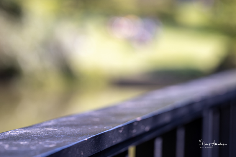 Sony Alpha Blog : F4, Laowa 100mm F2.8 Tilt Shift Macro – 1-320 s – ISO ...