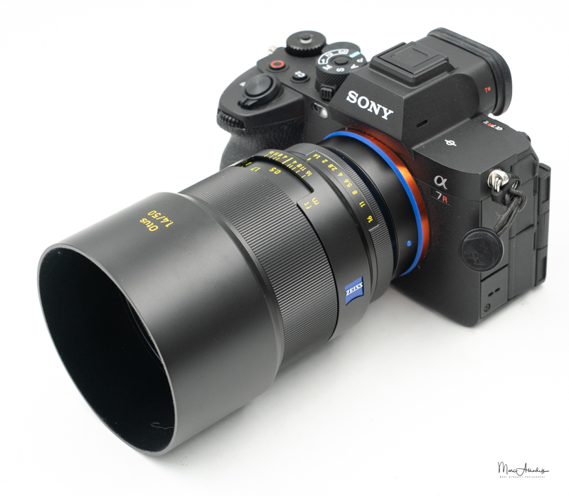 Sony Alpha Blog : 7CA05455