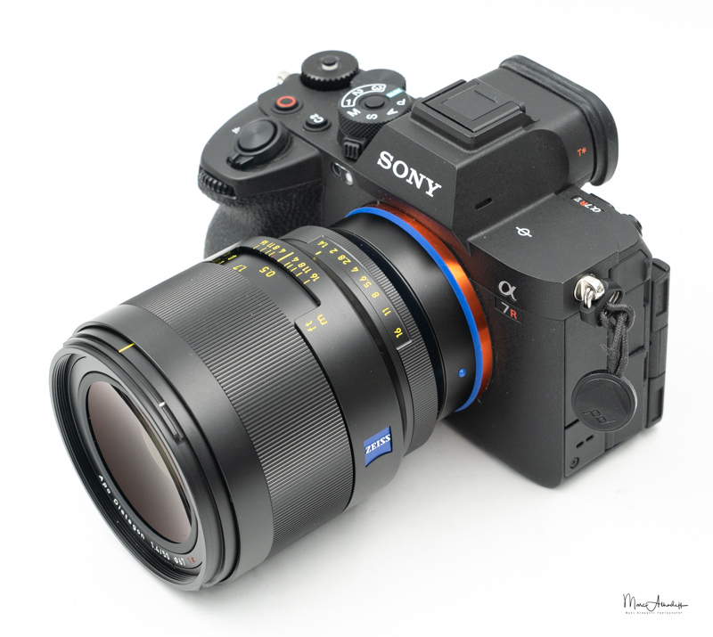 Sony Alpha Blog : 7CA05456