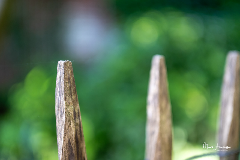 Sony Alpha Blog : ZEISS Otus ML 1.4-50- 50 mm – 1-250 s à f – 1,4- ISO 400-052