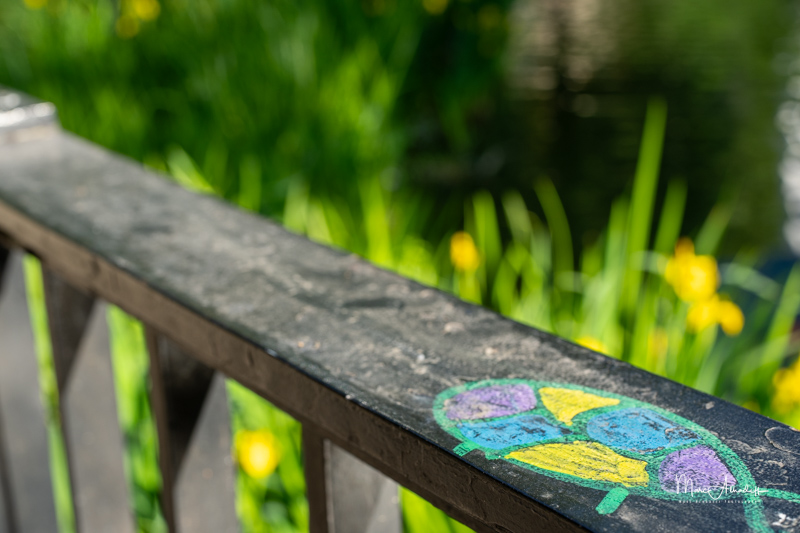 Sony Alpha Blog : ZEISS Otus ML 1.4-50- 50 mm – 1-250 s à f – 5,6- ISO 400-061