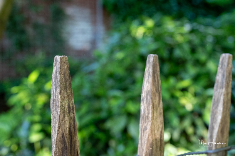 Sony Alpha Blog : ZEISS Otus ML 1.4-50- 50 mm – 1-250 s à f – 5,6- ISO 6400-056