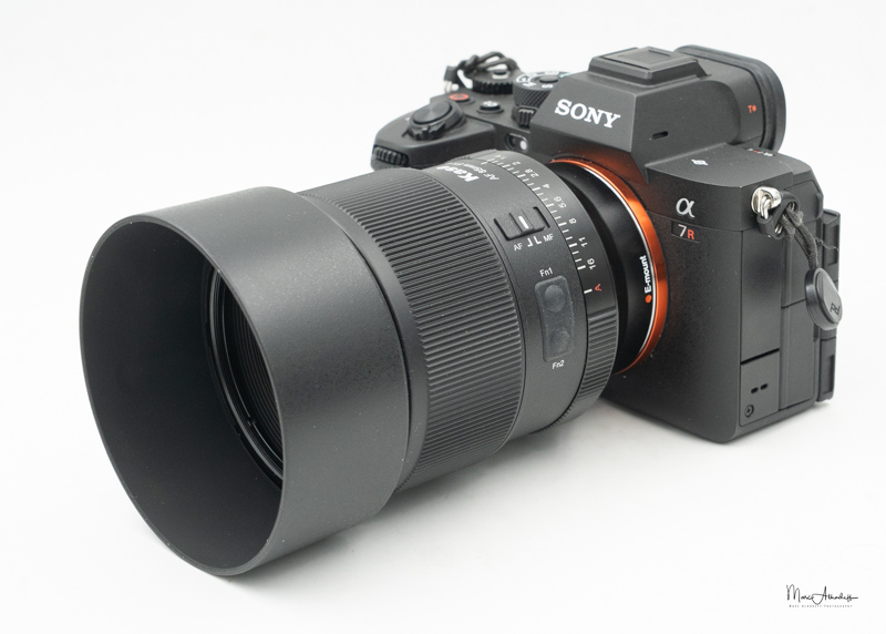 Sony Alpha Blog : 7CA05495