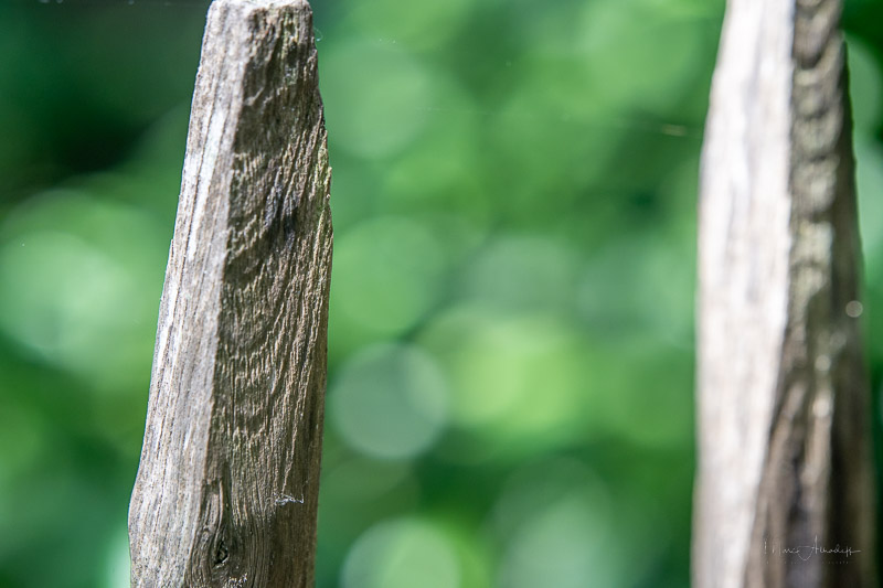 Sony Alpha Blog : 7 Artisans 120mm T2.9 Spectrum, T2.9 – 1-250 s – ISO ...