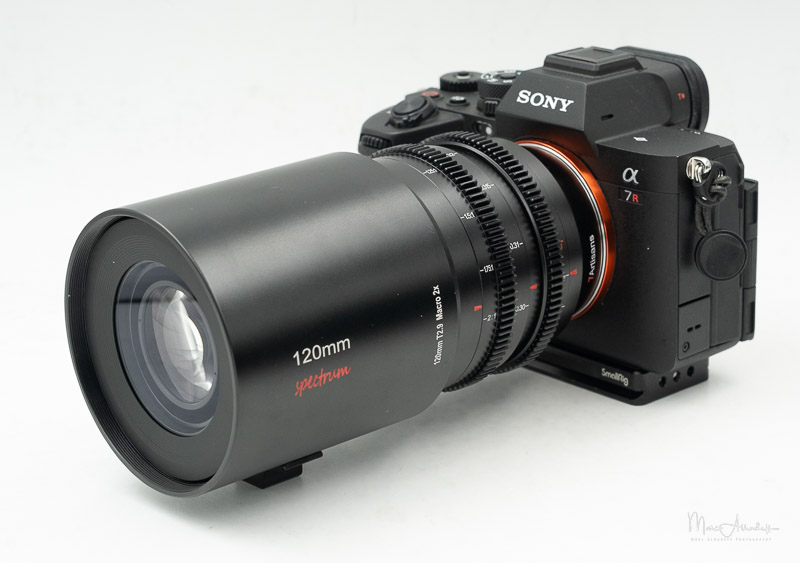 Sony Alpha Blog : 7CA06612
