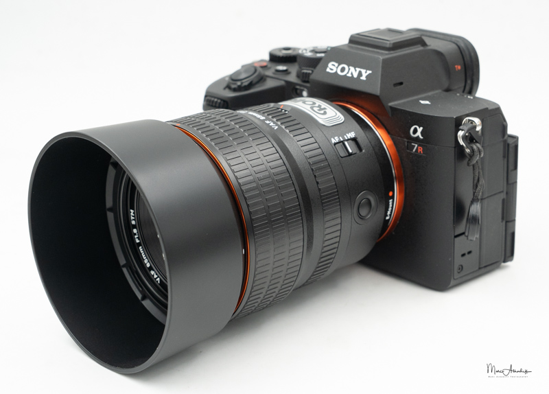 Sony Alpha Blog : 7CA06751