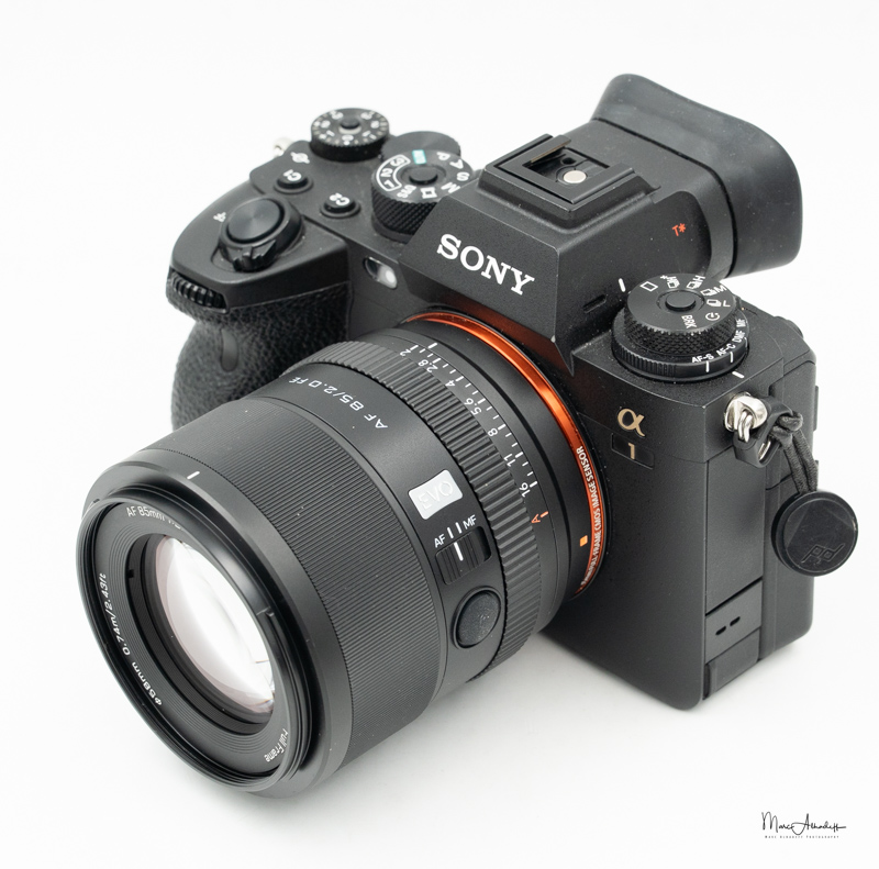Sony Alpha Blog : 7CA08413